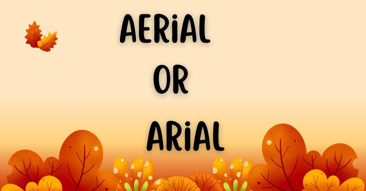 Aerial or Arial: What’s the Difference?