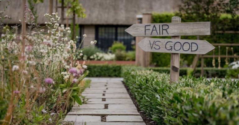 Fair vs Good: What’s the Difference?