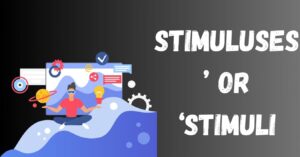 Stimuluses’ or ‘Stimuli’: What’s the Difference?